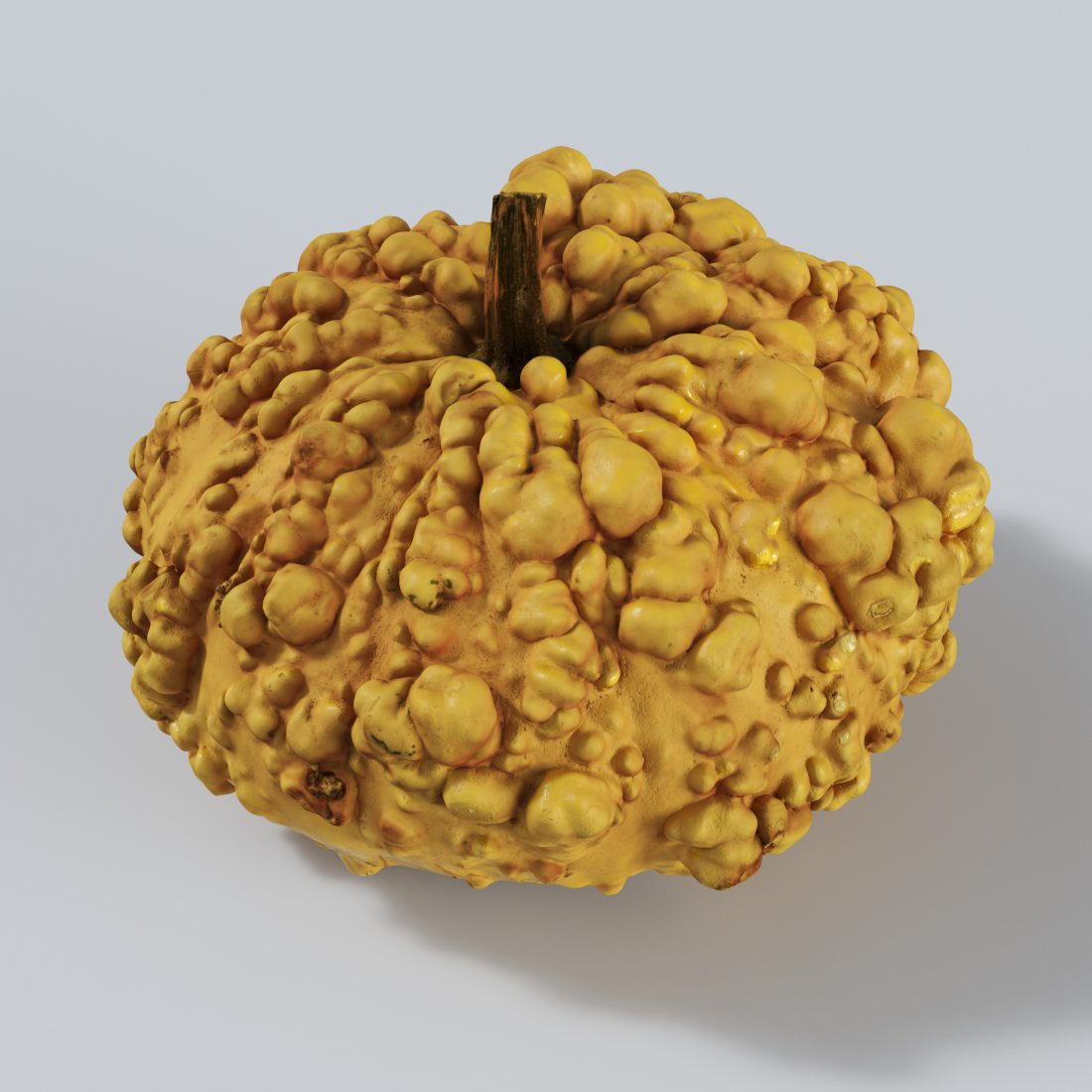 0005 Pumpkin - 3D Model for VRay