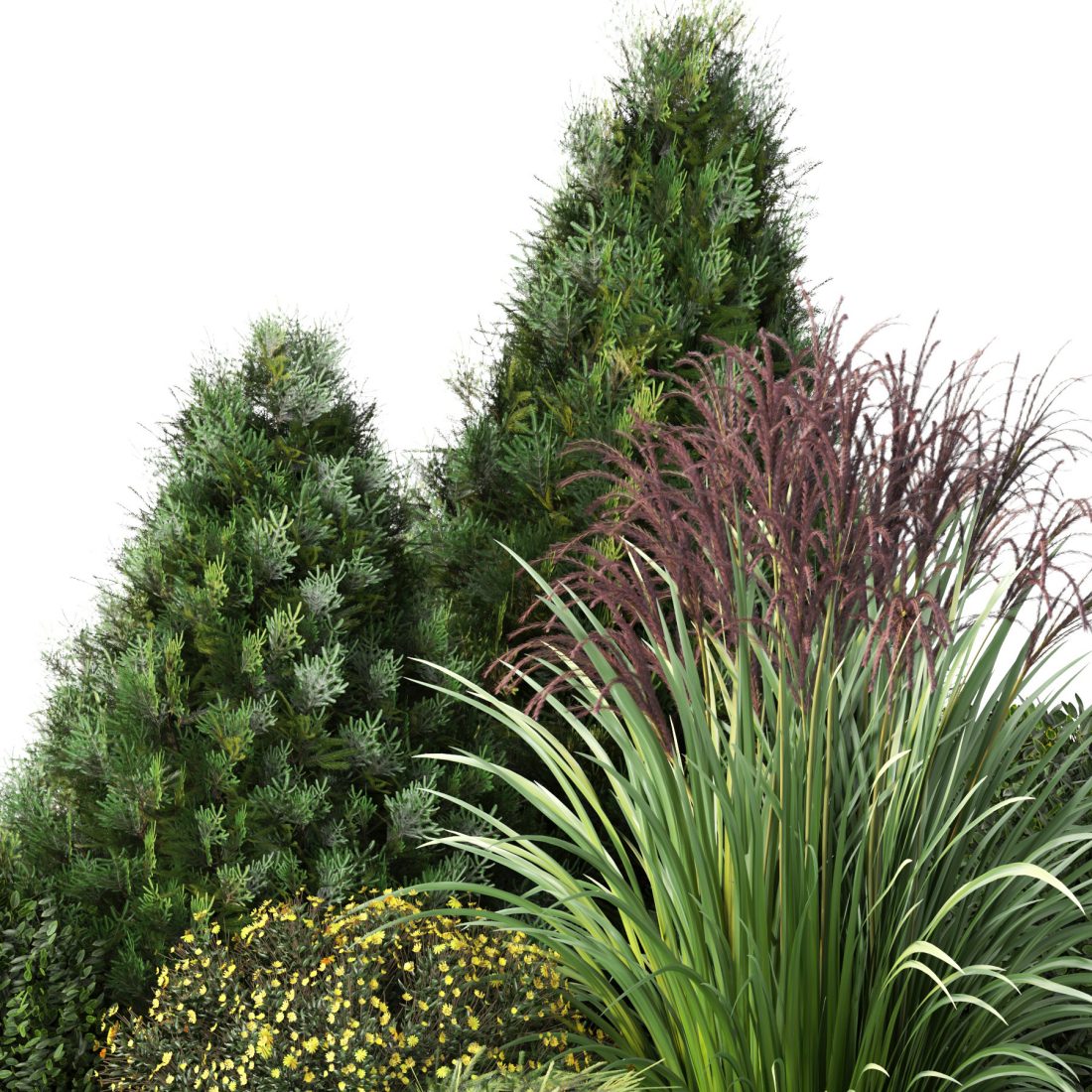 Outdoor Garden Tree Plant015 Collection - 3D Model for VRay
