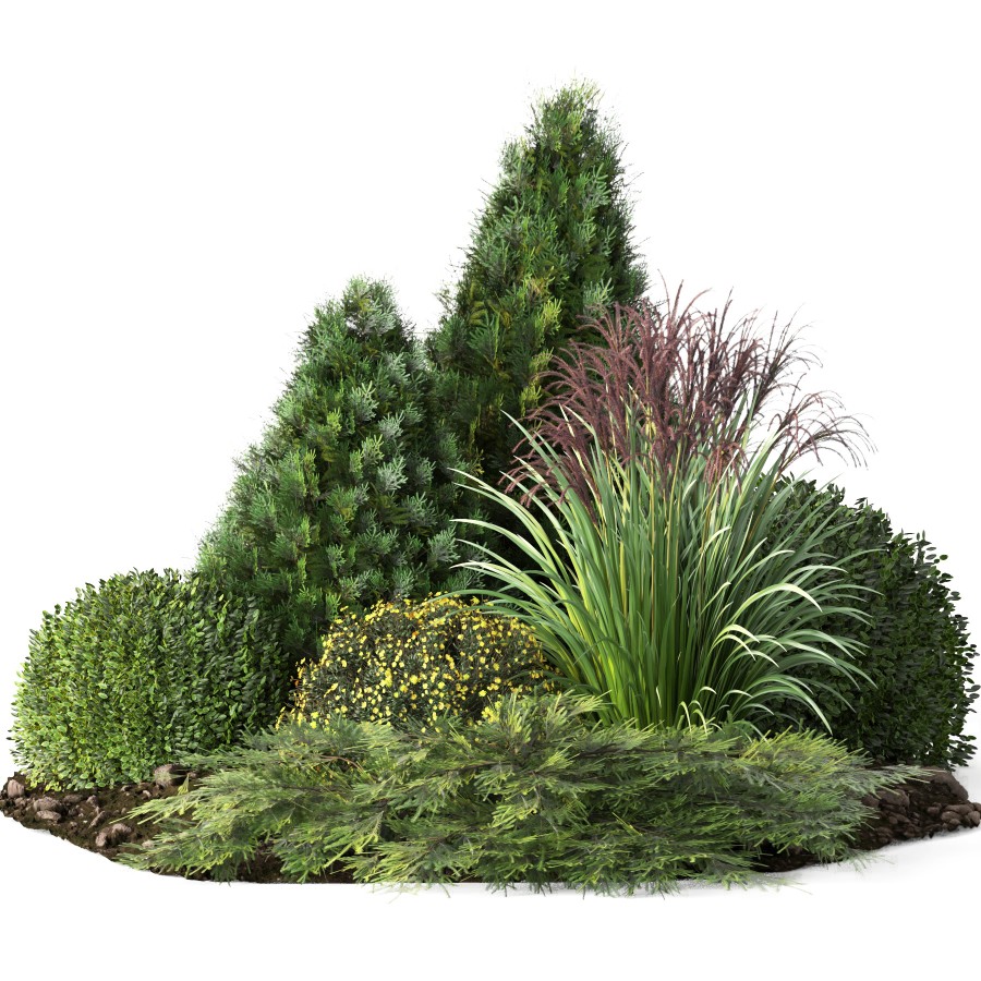 Outdoor Garden Tree Plant015 Collection - 3D Model for VRay