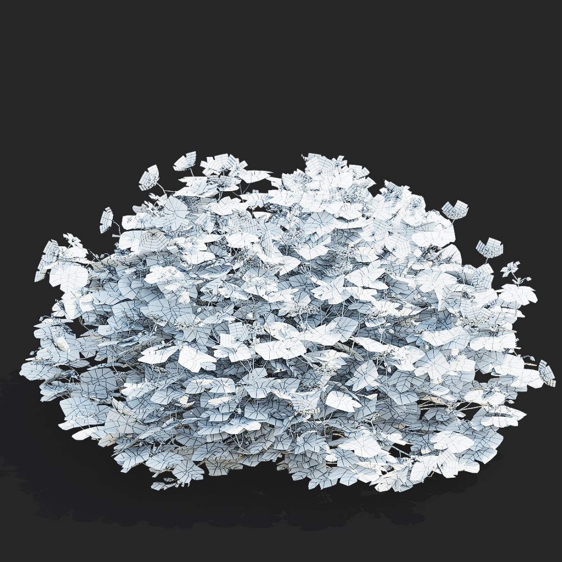Geranium Hybride Rozanne - 3D Model for VRay, Corona