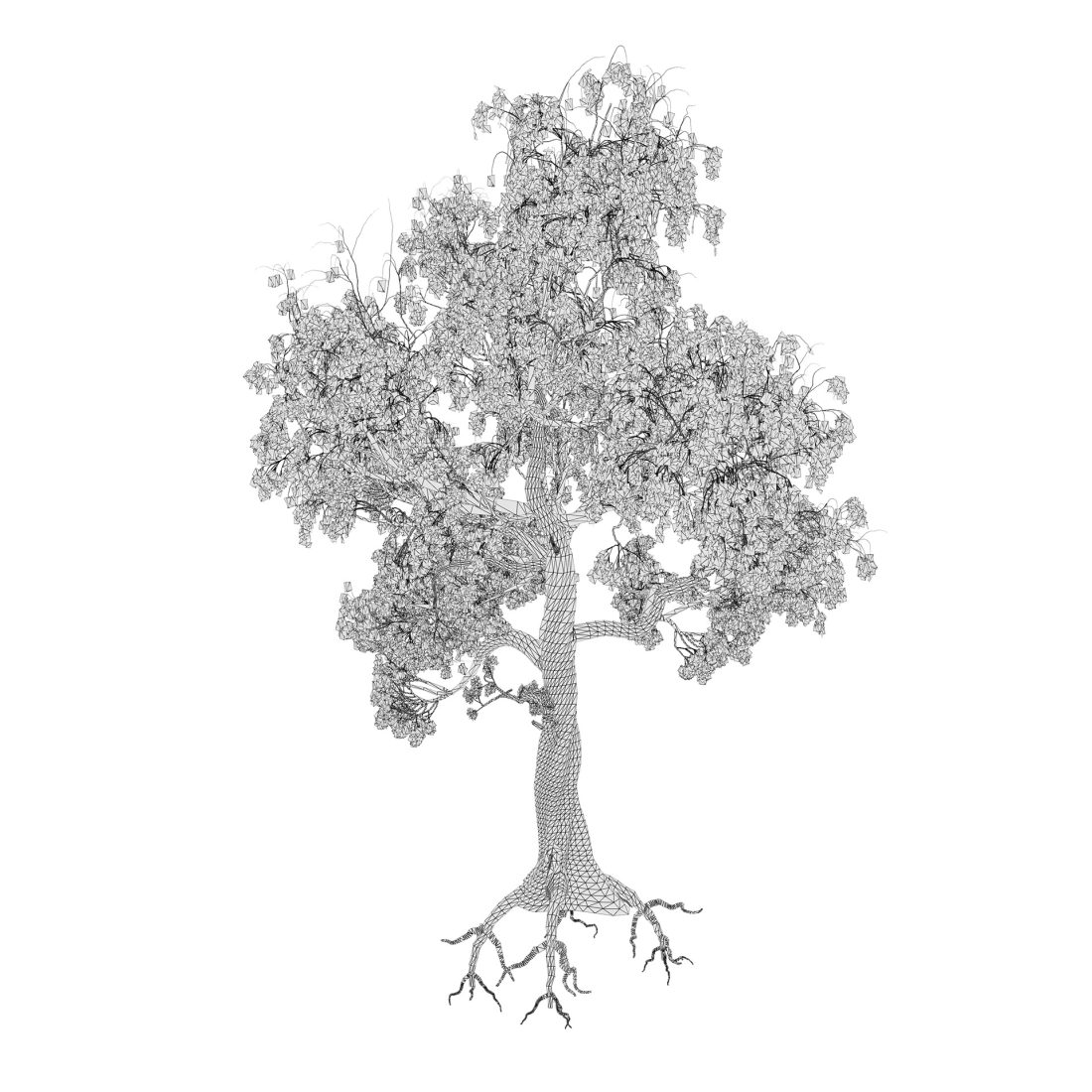 Highly Detailed Gum Trees 3D Model for VRay, Corona | CGMood