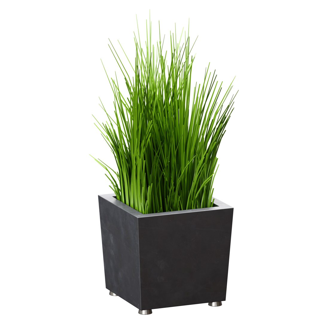 Grass In Pots Plants In Boxes 3D Model for FStorm, VRay, Corona | CGMood