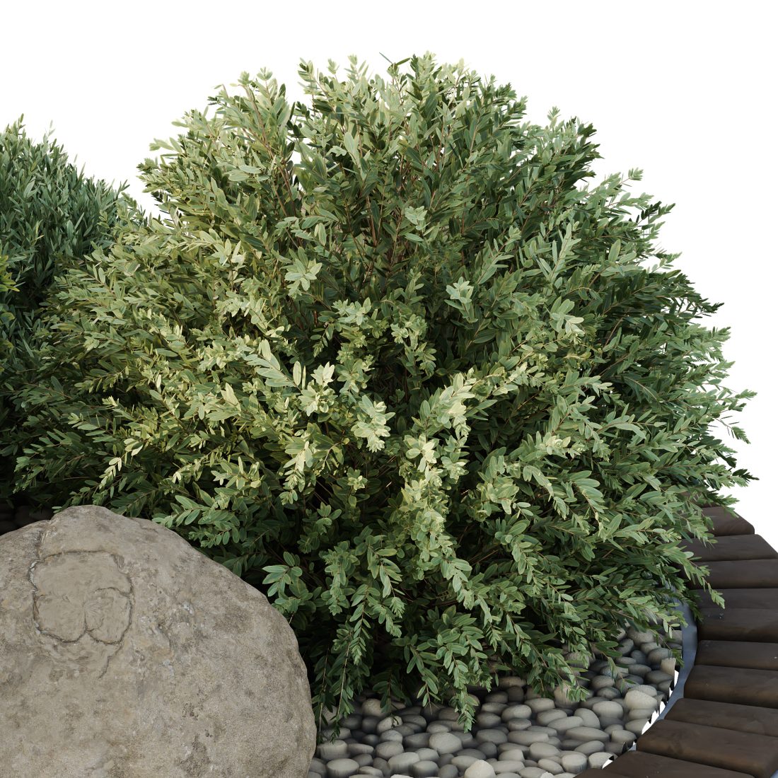 Hq Tree And Bush Garden Box Outdoor Vol 41 - 3D Model for VRay, Corona