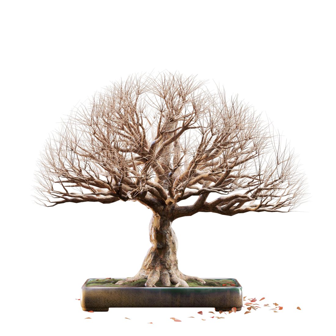 Bonsai 03 | Pbr | Midpoly | Hq - 3D Model for VRay, Corona
