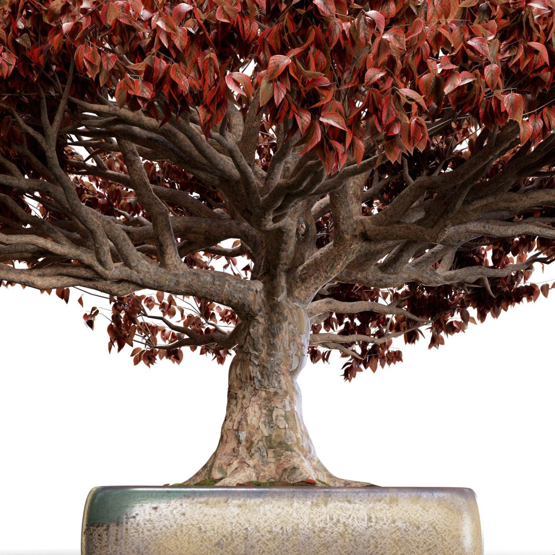 Bonsai 03 | Pbr | Midpoly | Hq - 3D Model for VRay, Corona