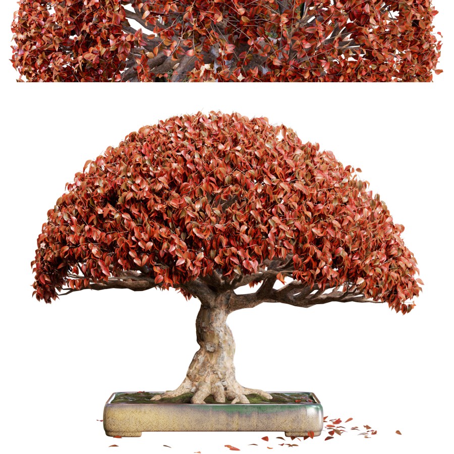 Bonsai 03 | Pbr | Midpoly | Hq - 3D Model for VRay, Corona