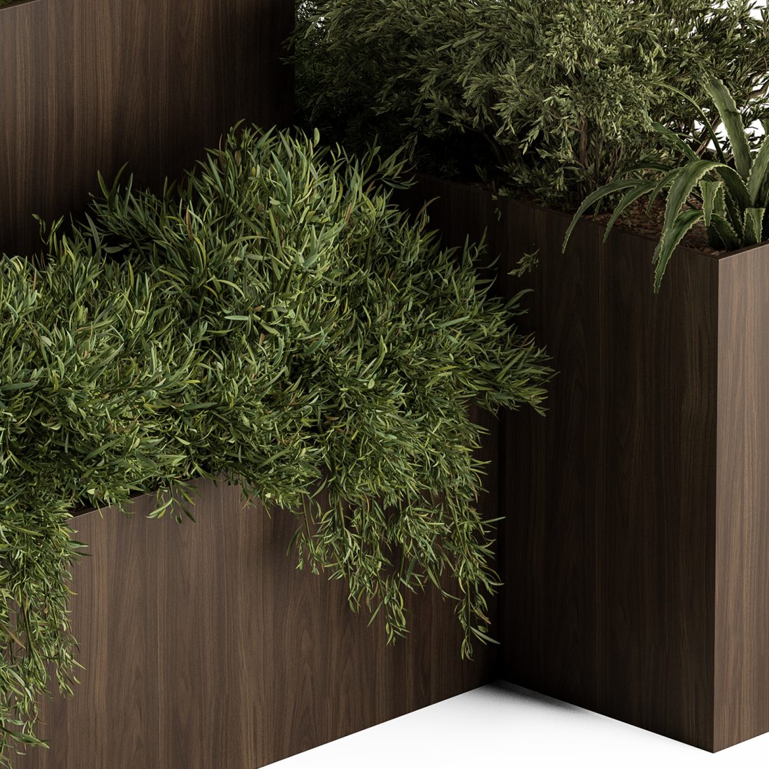 Outdoor Plant Set 386 - Plant Box 3D Model for VRay, Corona | CGMood