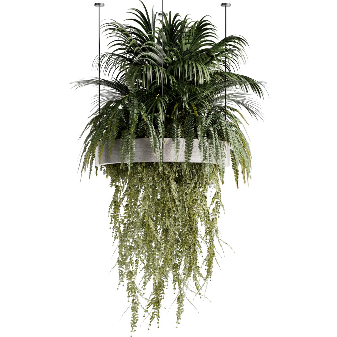 Indoorplants-hanging Plants Set-78 - 3D Model for VRay, Corona
