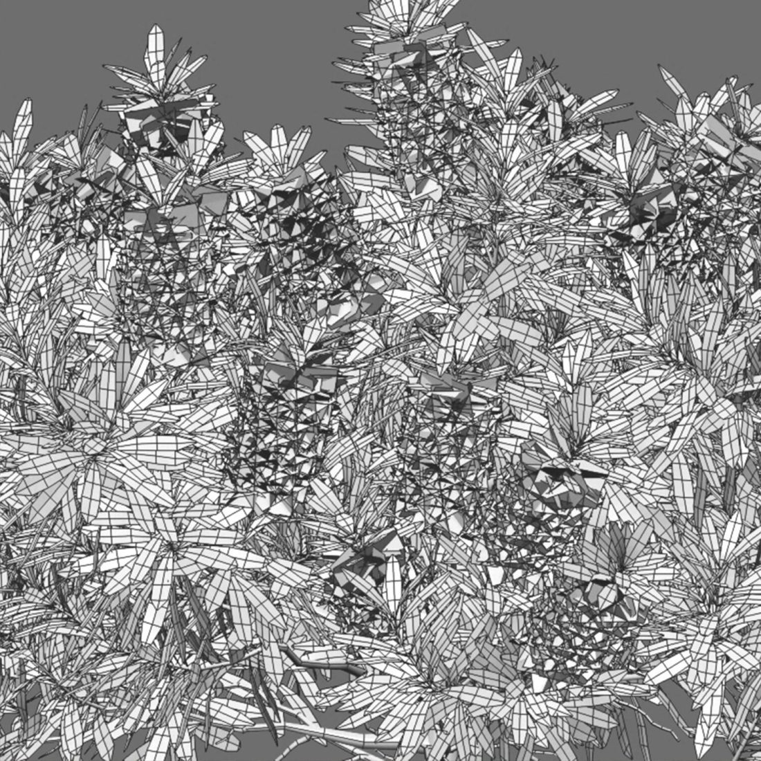 Callistemon Citrinus Little John - 3D Model for VRay, Corona