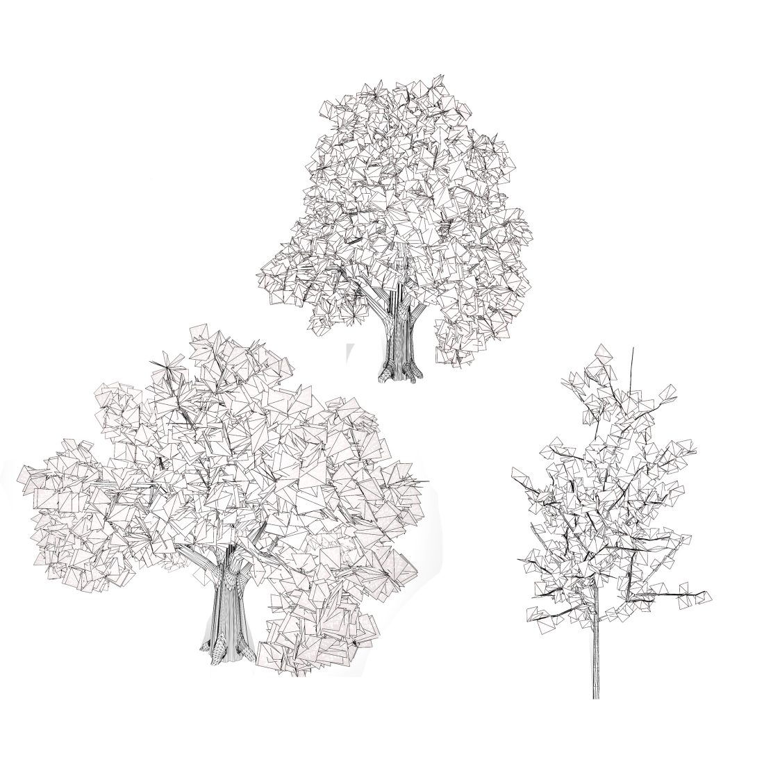 Quercus Tree Pack - 3D Model for VRay, Corona