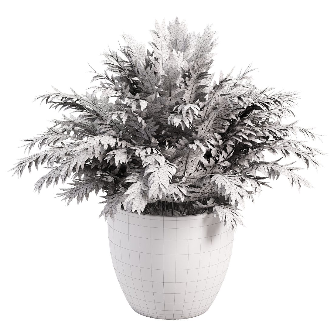 Happy Birthday Parlor Palm - 3D Model for Corona