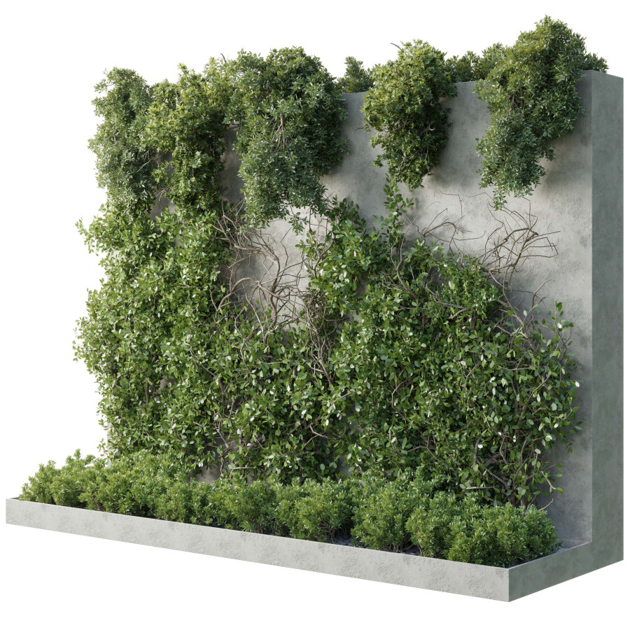 Vertical Wall Garden - Ivy Partition - Outdoor Gar 3D Model for VRay ...