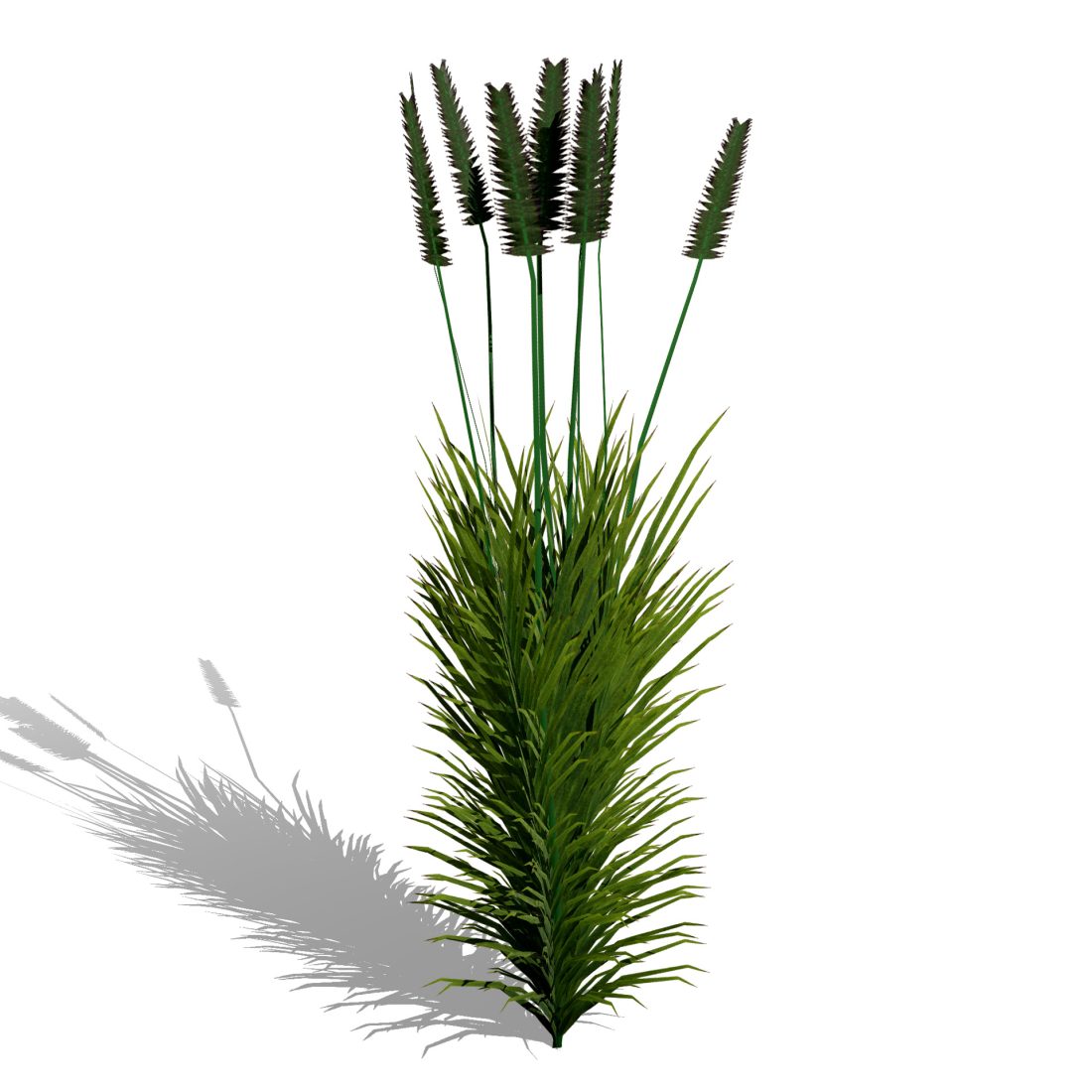Game-ready 3d Foliage Pack 3D Model for VRay, Corona | CGMood