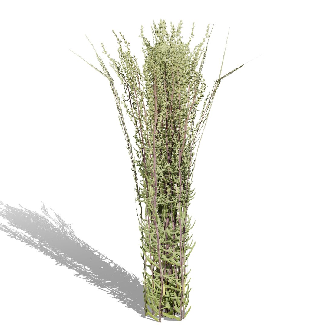 Game-ready 3d Foliage Pack 3D Model for VRay, Corona | CGMood