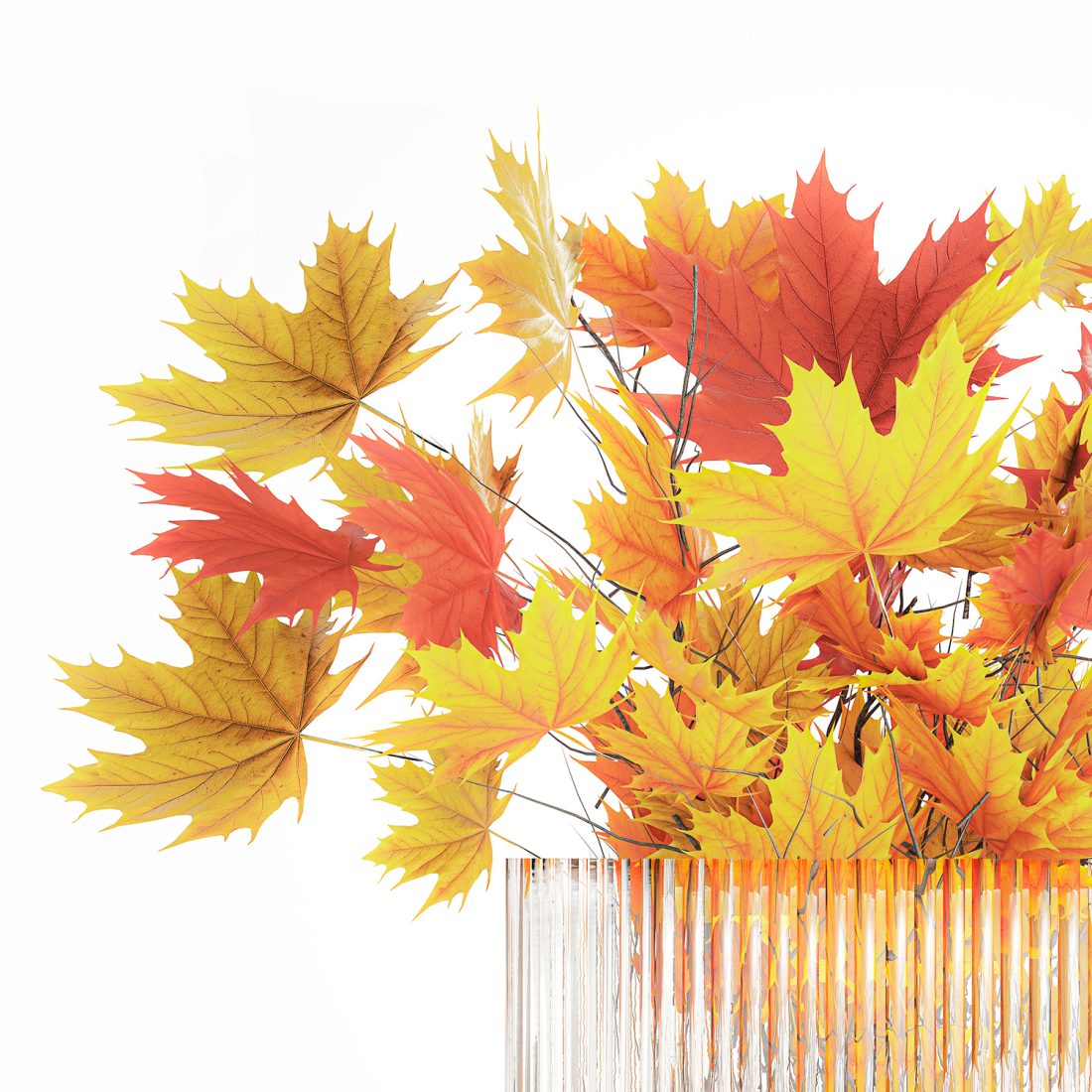 Autumn Bouquet Branches Maple Sycamore Leaves 3D Model for VRay | CGMood