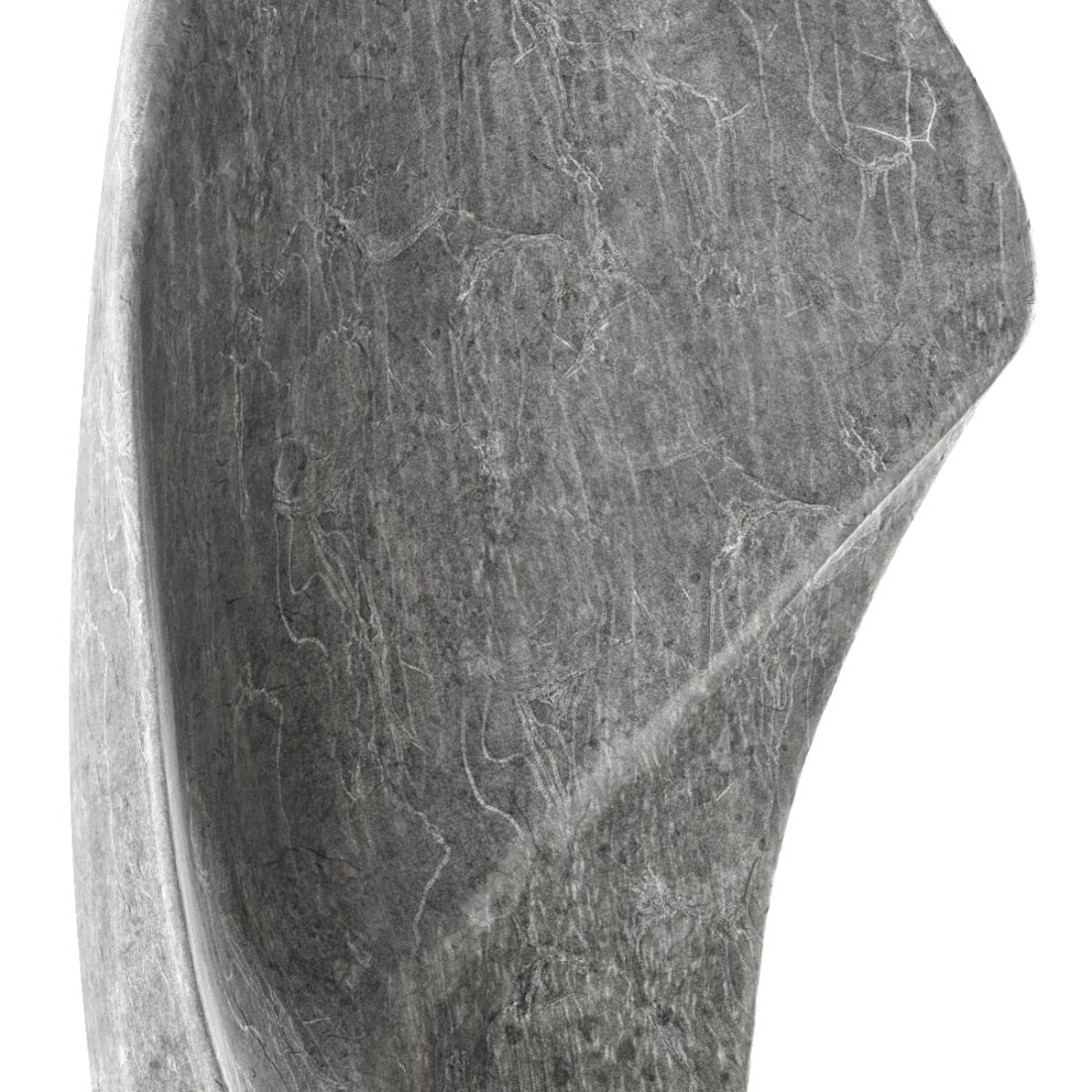 Abstract Sculpture Feather Shape-PBR Material - 3D Model for VRay, Corona