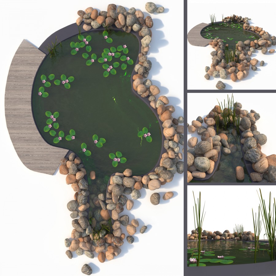 Garden Pond 2 - 3D Model for Corona