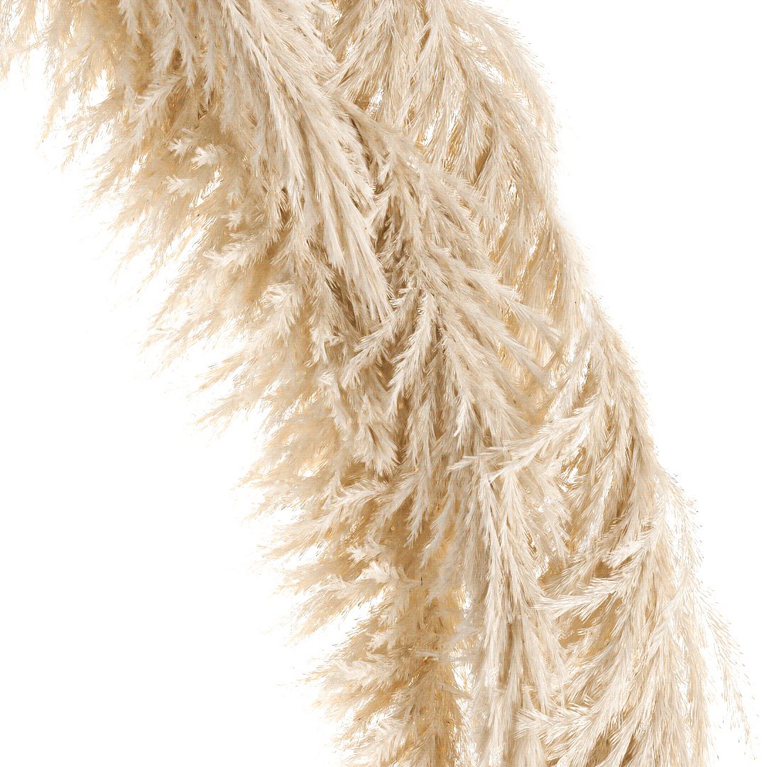 Wedding Arch Made Of Dry Reeds For Decor 1063 - 3D Model for VRay