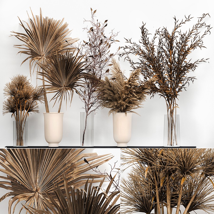 Bouquet Collection Of Dried Flowers In A Vase 181 - 3D Model for VRay