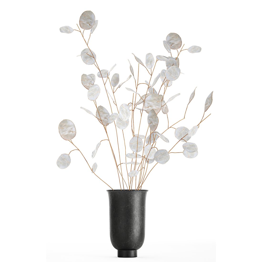 Bouquet Of Dried Flowers Lunaria In A Glass Vase - 3D Model for VRay