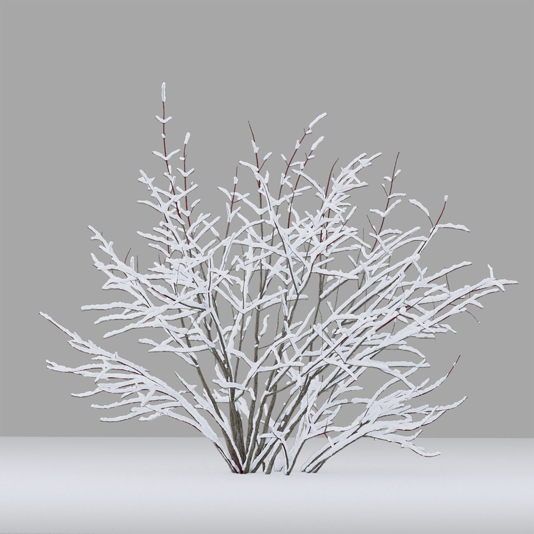 Winter Bushes 01 3D Model for VRay, Corona | CGMood