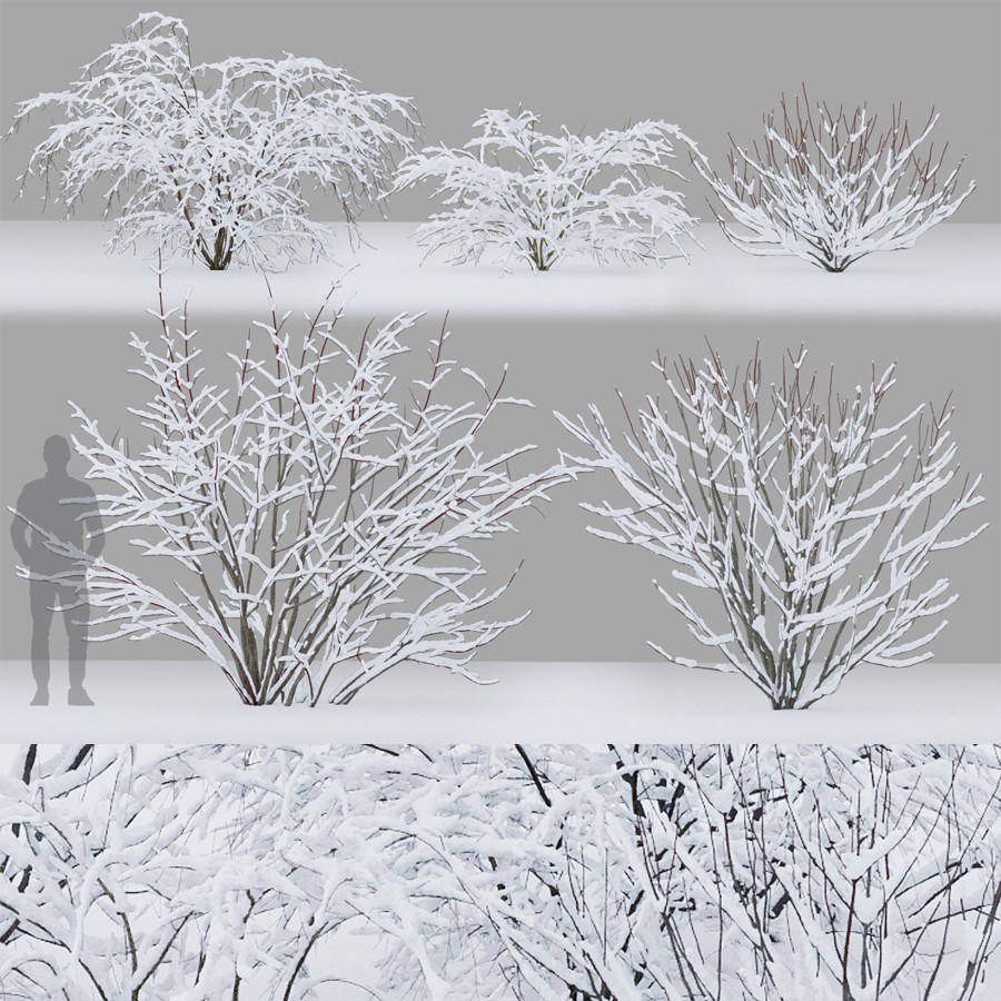 Winter Bushes 01 3D Model for VRay, Corona | CGMood