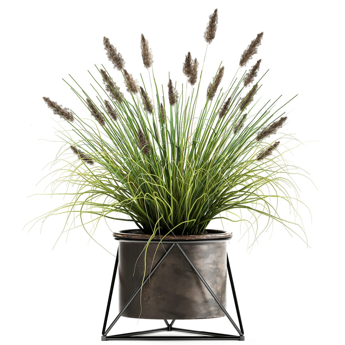 Reeds In A Rusty Flowerpot For The Interior 979 - 3D Model for VRay