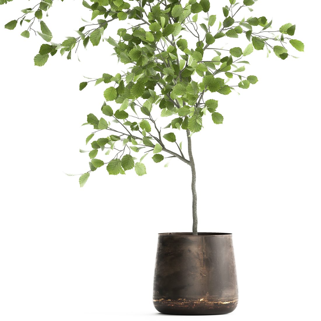 Decorative Tree In A Flowerpot 955 - 3D Model for VRay