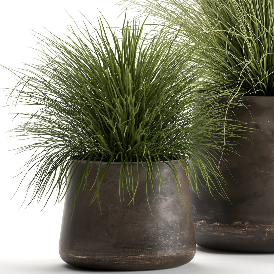 Grass In A Flowerpot For The Interior 903 - 3D Model for VRay