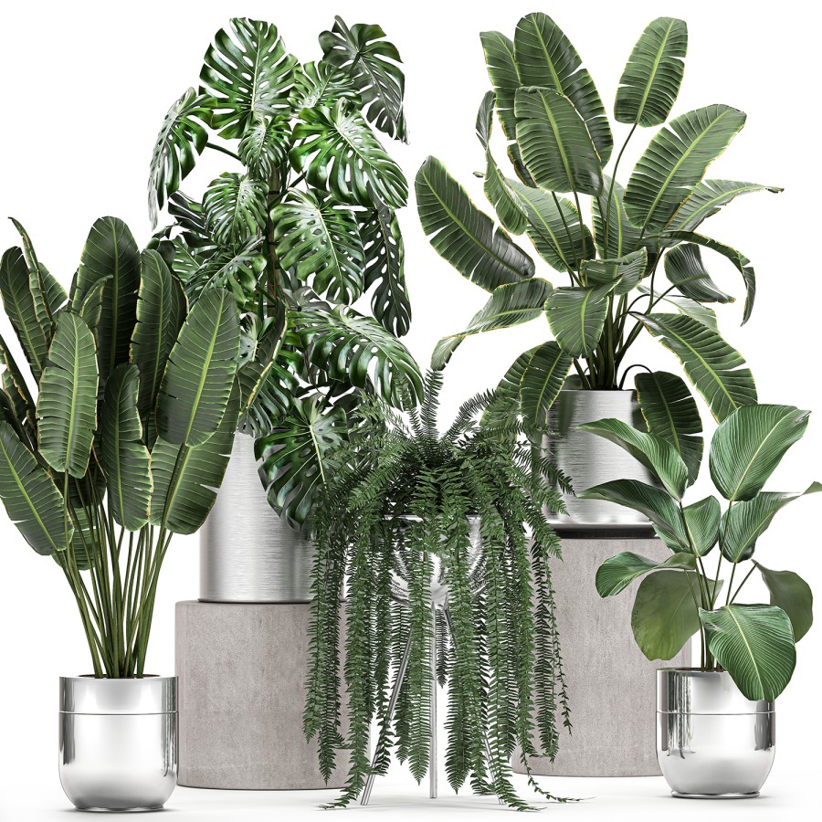 Ornamental Plants In A Chrome Flowerpot 791 - 3D Model for VRay