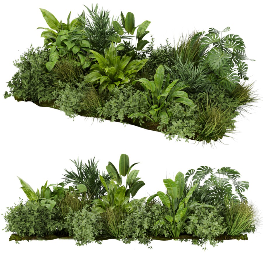 Collection Plant Vol 283 - Outdoor - Garden - Leaf - 3D Model for VRay ...