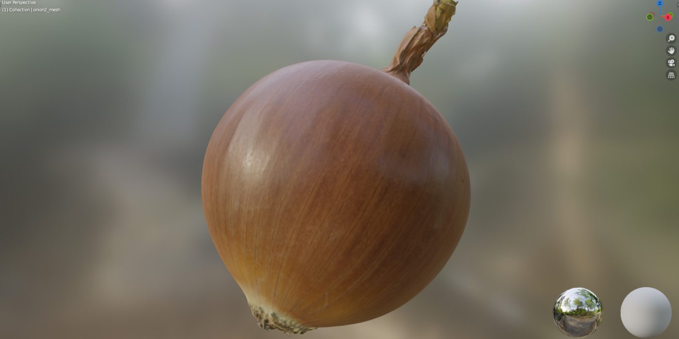 4k Scanned Onion #2 - 3D Model for VRay, Corona