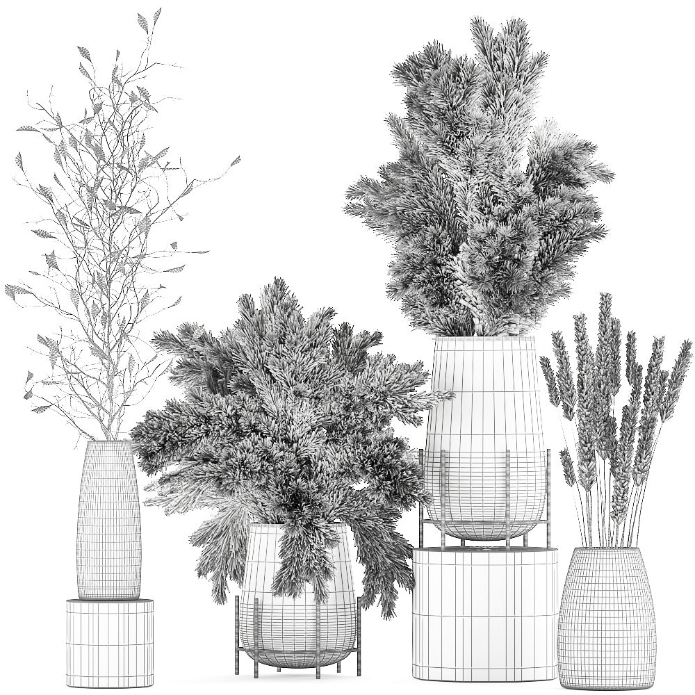 Bouquet Of Dried Flowers In A Vase 103 - 3D Model for VRay