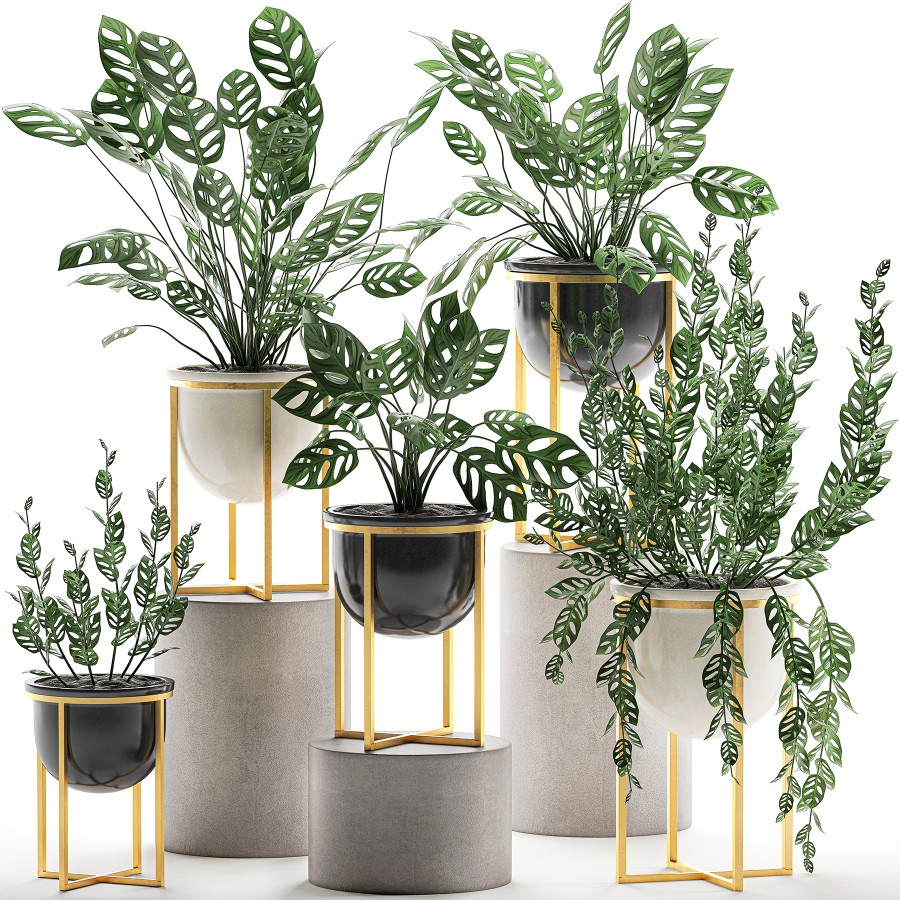 Decorative Plants In Pots For The Interior 551 - 3D Model for VRay