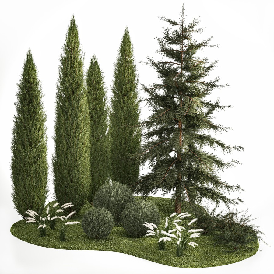 Spruce Thuja And Cypress For Landscape Design 3D Model for VRay | CGMood