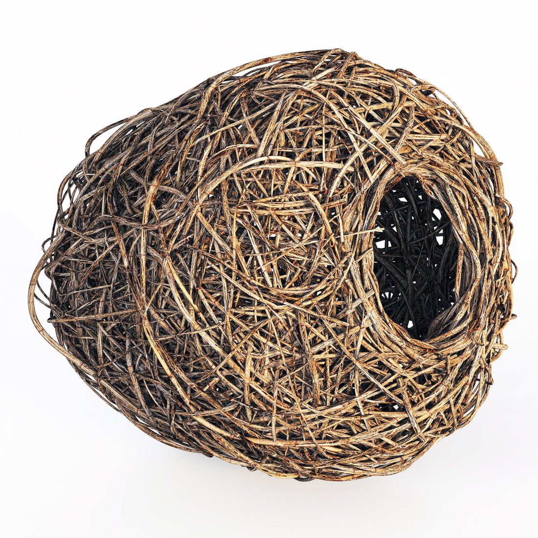 Nest N1 3D Model for VRay, Corona | CGMood