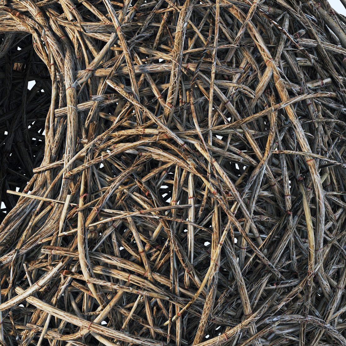 Nest N1 3D Model for VRay, Corona | CGMood