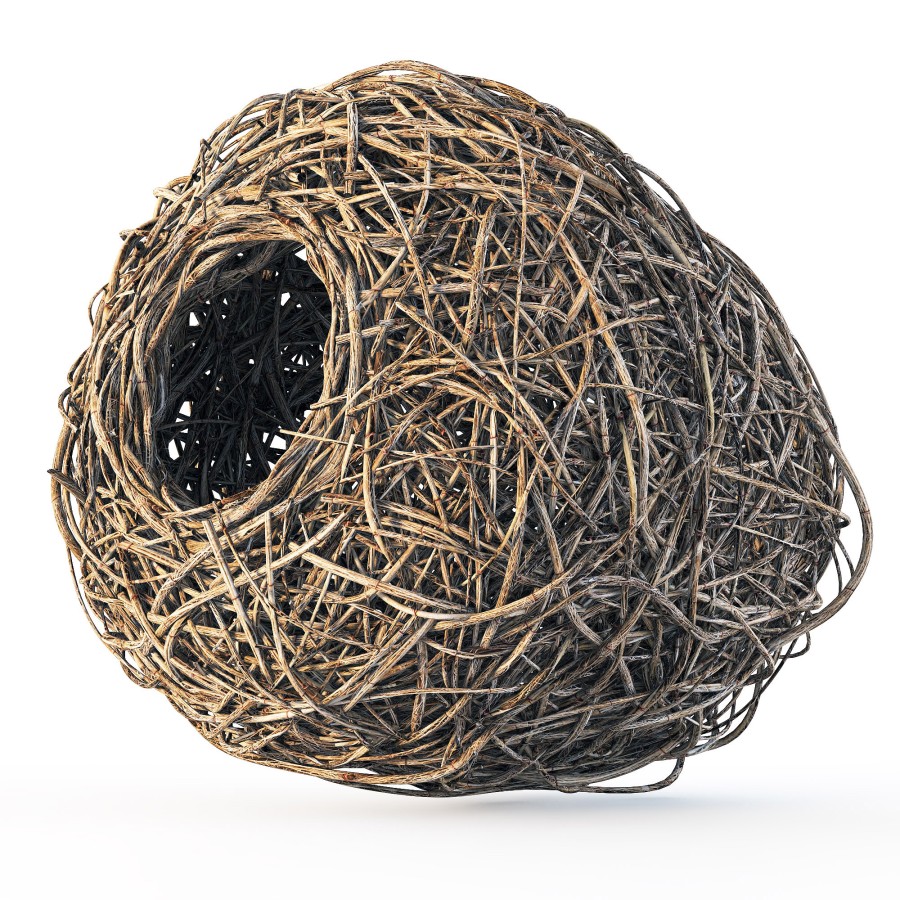 Nest N1 3D Model for VRay, Corona | CGMood