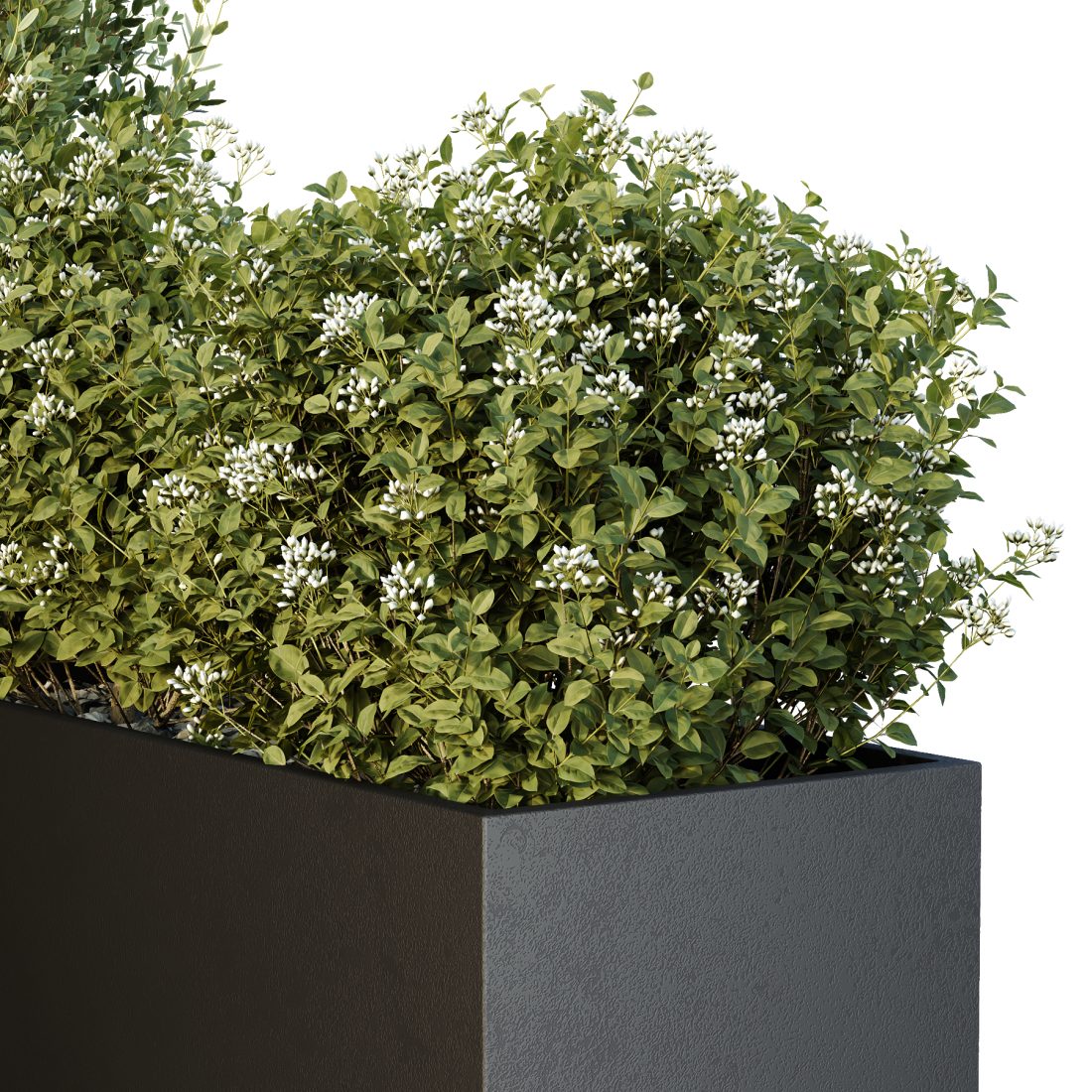 Hq Tree And Bush Garden Box Outdoor Vol 50 - 3D Model for VRay, Corona