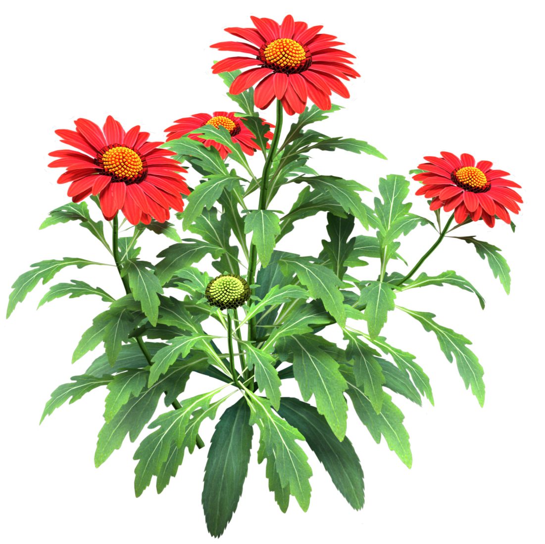 Arizona Red Shades Flowers 3d Model - 3D Model for VRay, Corona