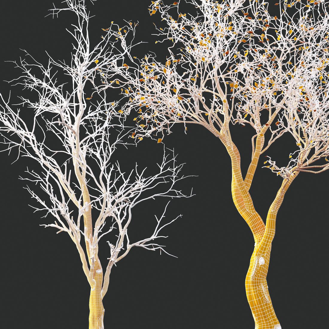 Dry Or Dead Tree 01 3D Model for VRay, Corona | CGMood