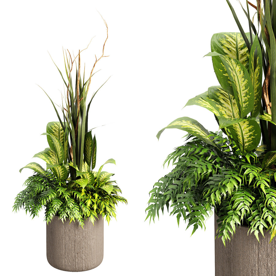 Outdoor Plent - 3D Model for Corona