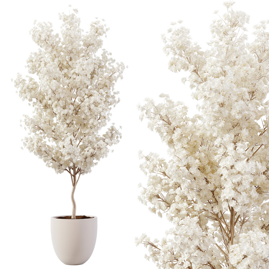 Seta Fiori-white Blossom Tree 02 3D Model for VRay, Corona | CGMood