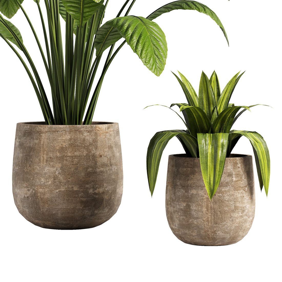 Indoor Plent Home - 3D Model for Corona