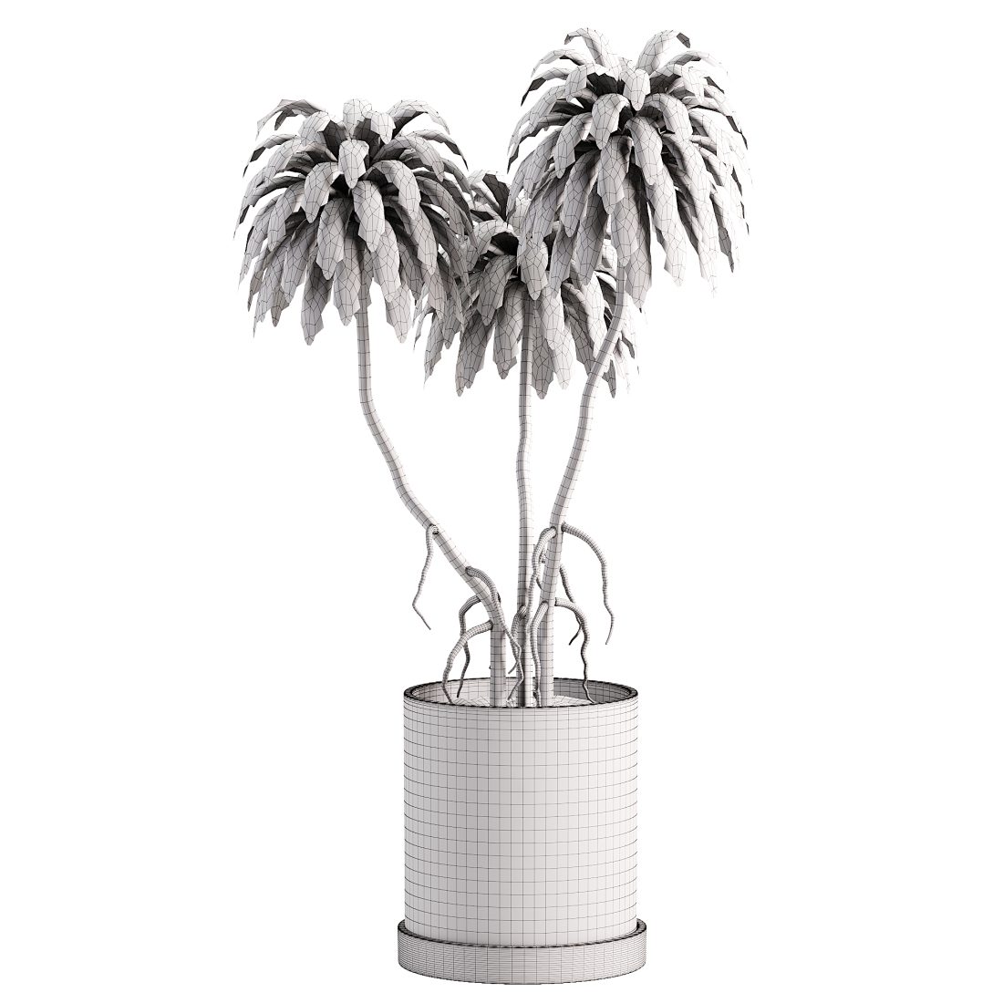 Indoor Plent 3D Model for Corona | CGMood