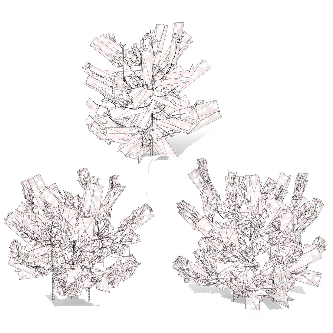 Cotton Plant 3d Model 3D Model for VRay, Corona | CGMood