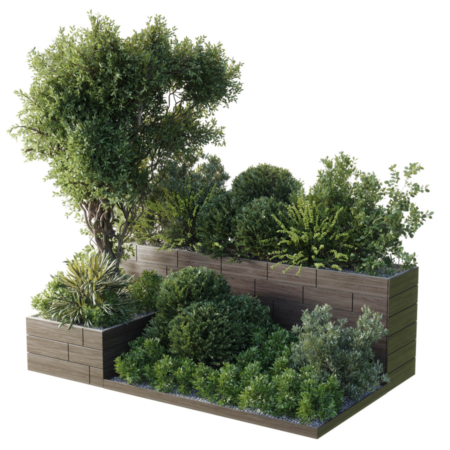 Outdoor Plant 219 - Garden Plants In Box Corona - 3D Model for Corona