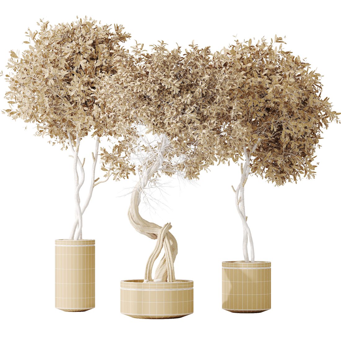 Av Indoor Plants Set145 Olive Artificial Olea Tree 3D Model for VRay ...