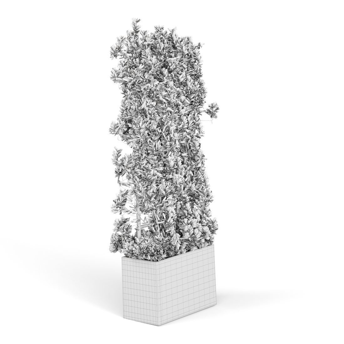 Botanical Planter - 3D Model for Corona