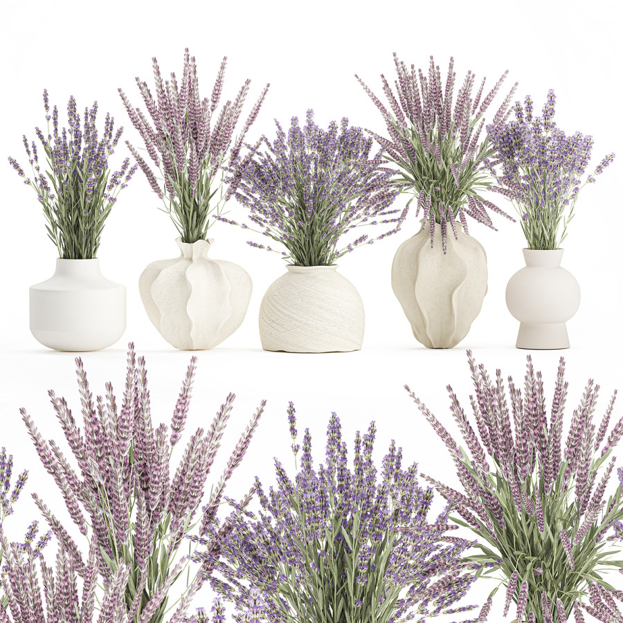 Collection Realistic Bouquets 5 Lavender Flowers - 3D Model for VRay